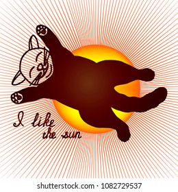 Like Sun Vector Illustration Stock Vector (Royalty Free) 1082729537 ...