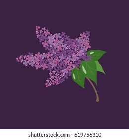 Lilac Flowers Vector Stock Vector (Royalty Free) 619756310 | Shutterstock