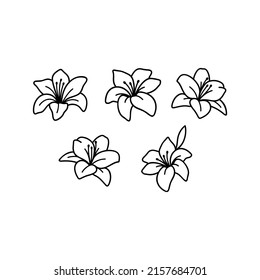 1,887 Lilly outline Images, Stock Photos & Vectors | Shutterstock