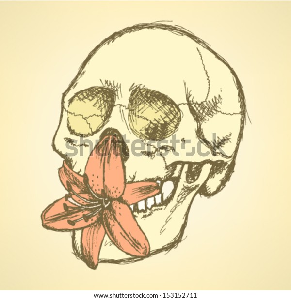 Lily Human Skull Vector Sketch Background: เวกเตอร์สต็อก (ปลอดค่า ...