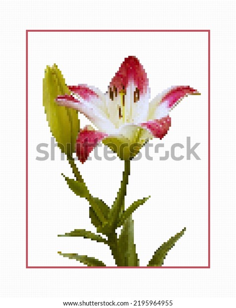 Lily On White Background Pixel Vector: เวกเตอร์สต็อก (ปลอดค่าลิขสิทธิ์ ...