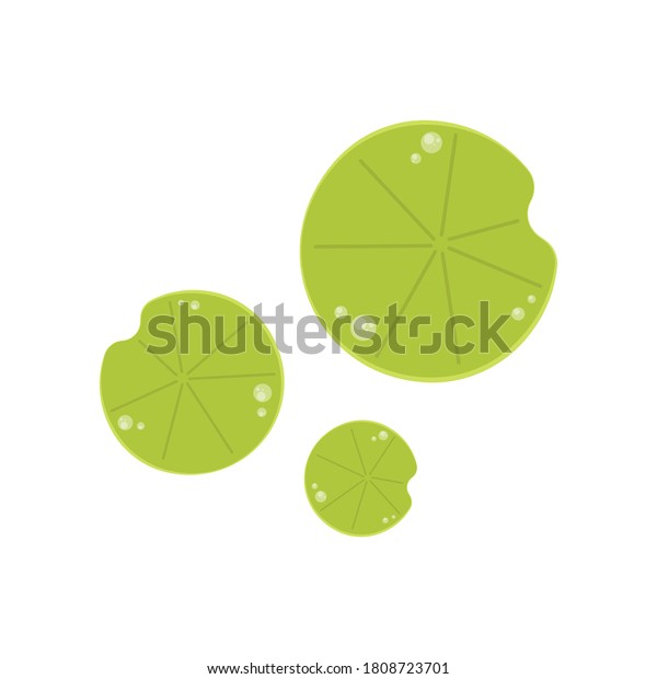 Lily Pad Vector Lily Pad Logo Stock Vector (Royalty Free) 1808723701 ...