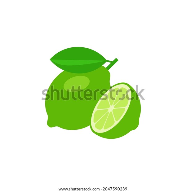 Lime Cut Pieces Vector Illustration Isolated Stock Vector (Royalty Free ...