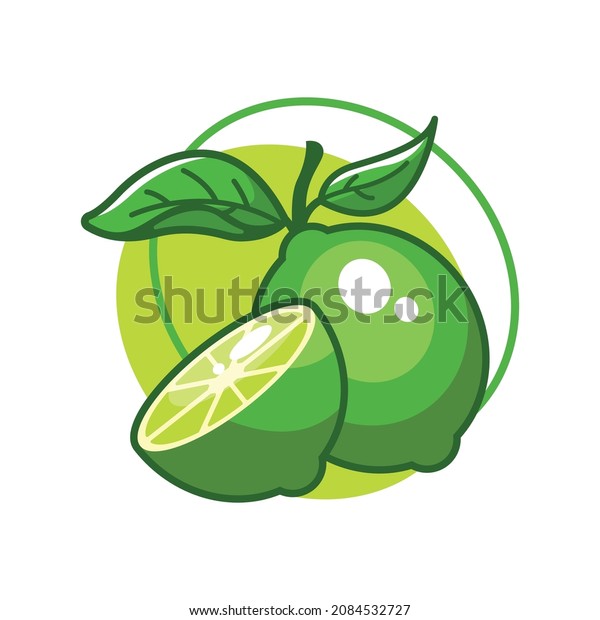 Lime Fruit Drawing Illustration Design Stock Vector (Royalty Free ...