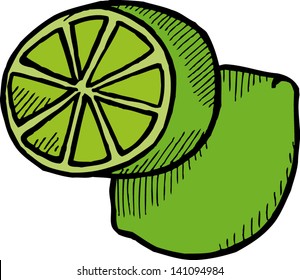 Lime Hand Drawn Illustration Stock Vector (Royalty Free) 141094984 ...