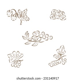 Line Art Fruits Vector Set Berries Stock Vector (Royalty Free ...