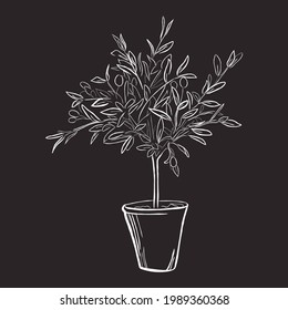 Line Art Olive Tree Pot Vector Stock Vector (Royalty Free) 1989360368 ...