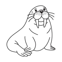 Animal, Walrus, Pinniped, Art Free Stock Photo - Public Domain Pictures