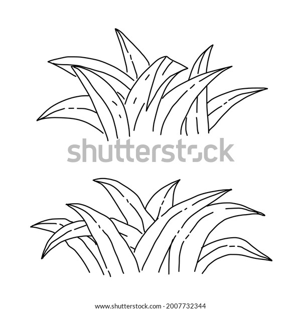 Line Drawing Grass Outline Icons Vector Stock Vector (Royalty Free ...