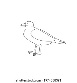 Line Drawing Herring Gull Bird Tattoo Stock Vector (Royalty Free ...