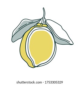 Line Drawing Lemon Modern Continuous Line Stock Vector (Royalty Free ...