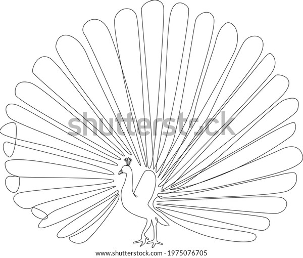 Line Drawing Peacock Tattoo Vector Illustration Stock Vector (Royalty ...