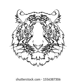 Line Drawing Tiger Head Vector Stock Vector (Royalty Free) 1556387306 ...