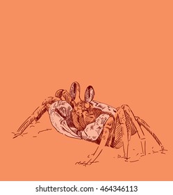 Line Sketch Grab On Beach Stock Vector (Royalty Free) 464346113 ...
