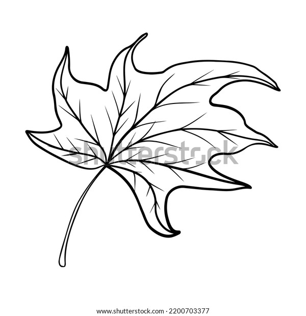 Linear Autumn Leaf Line Art Clipart Stock Vector (Royalty Free ...