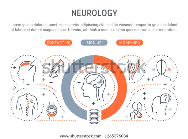 Linear Banner Neurology Icons Web Sites Stock Vector (Royalty Free ...