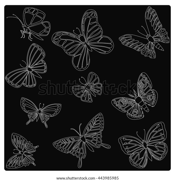 Linear Butterflies Vector Sketch Stock Vector (Royalty Free) 443985985 ...