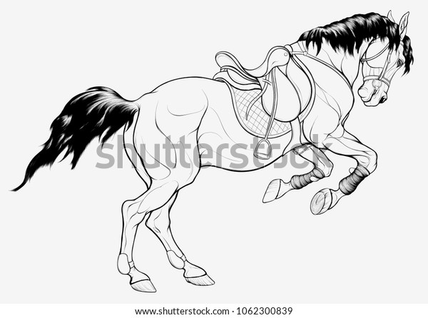 Linear Illustration Galloping Steed Equipped Show Stock Vector (Royalty ...