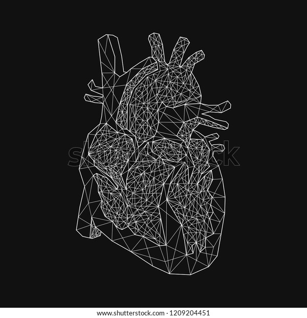 Linear Illustration Heart Stock Vector (Royalty Free) 1209204451 ...
