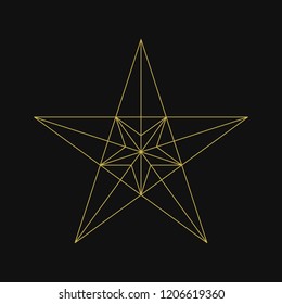 Linear Illustration Star Stock Vector (Royalty Free) 1206619360 ...