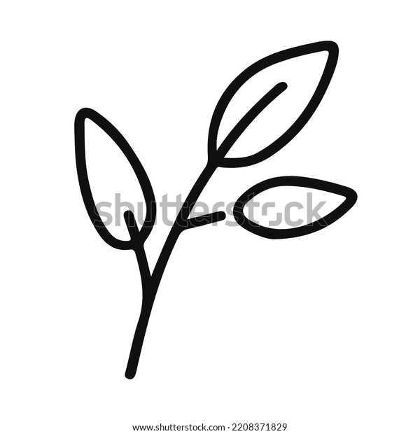 Linear Image Branch Leaves Plant Vector Stock Vector (Royalty Free ...