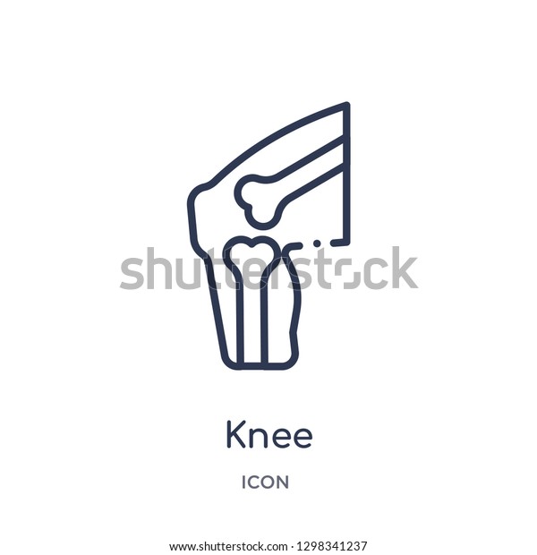 Linear Knee Icon Medical Outline Collection Stock Vector (Royalty Free ...