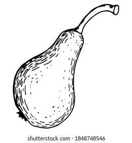 Linear Pear On White Isolated Background Stock Vector (Royalty Free ...