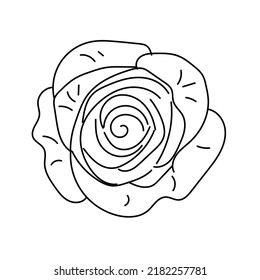 Linear Rose Flower Hand Drawing Rose Stock Vector (Royalty Free ...