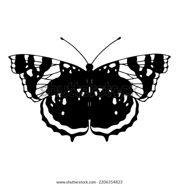 5,913 Butterfly Flapping Wings Images, Stock Photos & Vectors ...