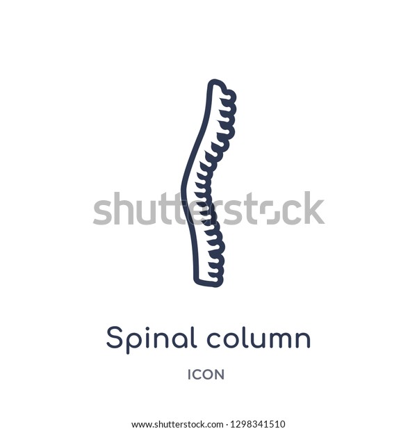 Linear Spinal Column Icon Medical Outline Stock Vector (Royalty Free ...