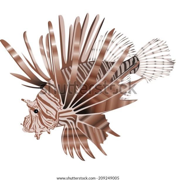 Lion Fish Stock Vector (Royalty Free) 209249005 | Shutterstock