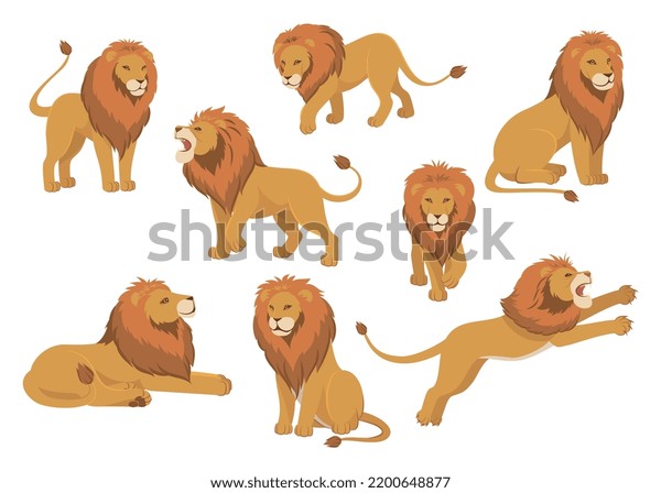 Lion Flat Cartoon Set Isolated Images Stock Vector (Royalty Free ...