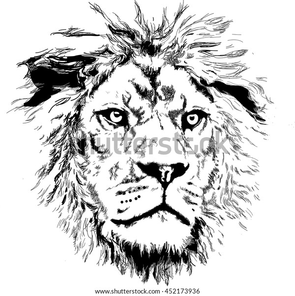 Lion Little Mane 库存矢量图（免版税）452173936 | Shutterstock
