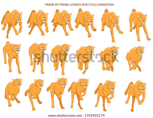 Lioness Vector Illustration, with Frame by Frame Animation For 2D ...