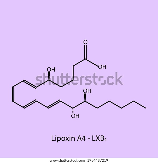 Lipoxin B4 Lipoxin Biomolecule Molecular Formula Stock Vector (Royalty ...
