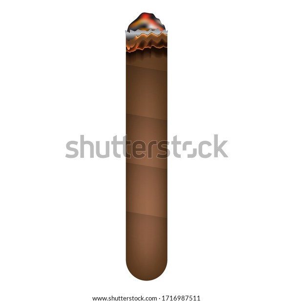 Lit Cigar Full Color Stock Vector (Royalty Free) 1716987511