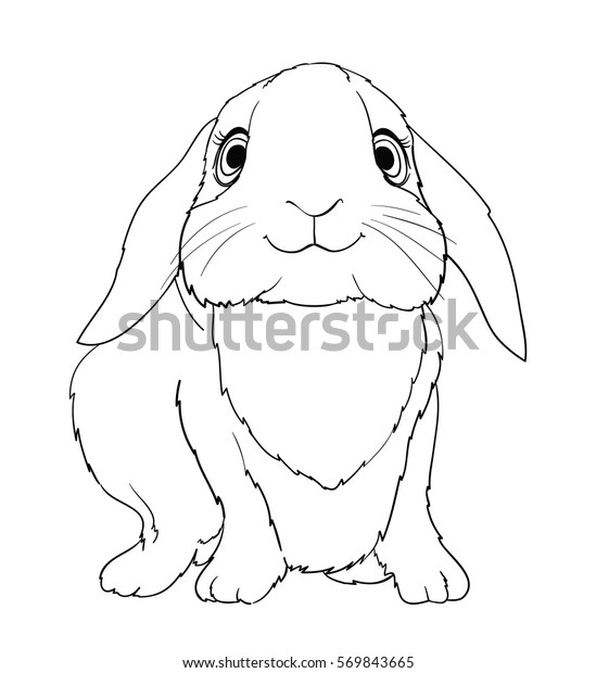 Little Cute Rabbit Coloring Page Version Stock Vector (Royalty Free ...