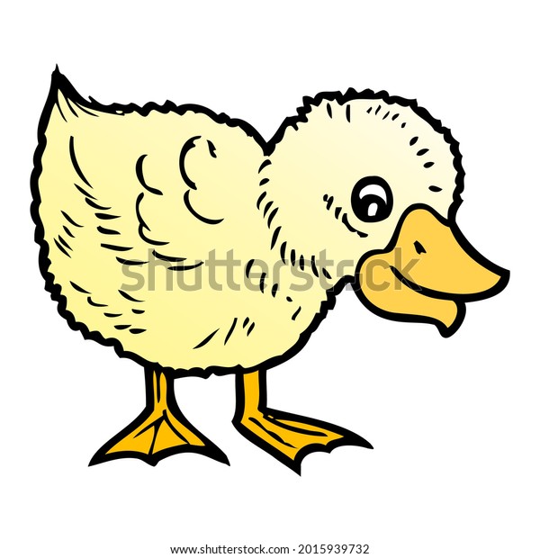 Little Duck Vector Illustrationisolated On White Stock Vector (Royalty ...