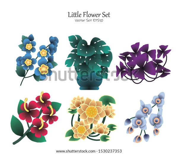 Little Flower Vector Eps10 Package Vector Stock Vector (Royalty Free ...