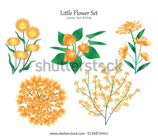 Little Flower Vector File Eps10 Package: เวกเตอร์สต็อก (ปลอดค่า ...