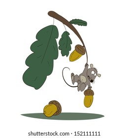 Little Mouse Acorns Vector Illustration Stock Vector (Royalty Free ...