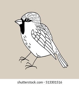 Vektor Stok Little Sparrow Vector Linear Drawing (Tanpa Royalti ...