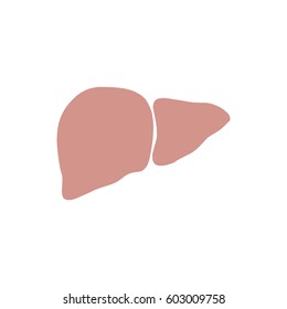 Liver Flat Design Vector Illustration Stock Vector (Royalty Free ...