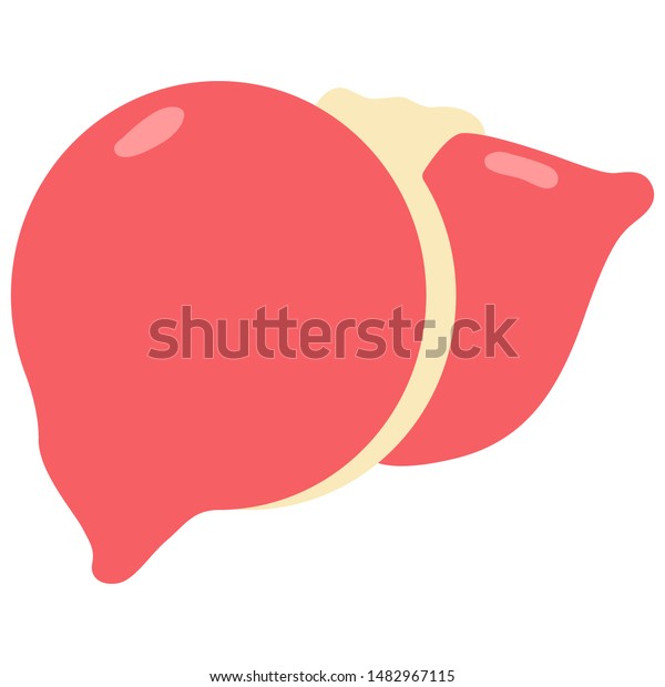 Liver Human Internal Organ Vector Cartoon Stock Vector (Royalty Free ...