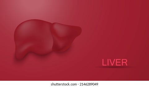 Liver Human Isolated On Red Background Stock Vector (Royalty Free ...