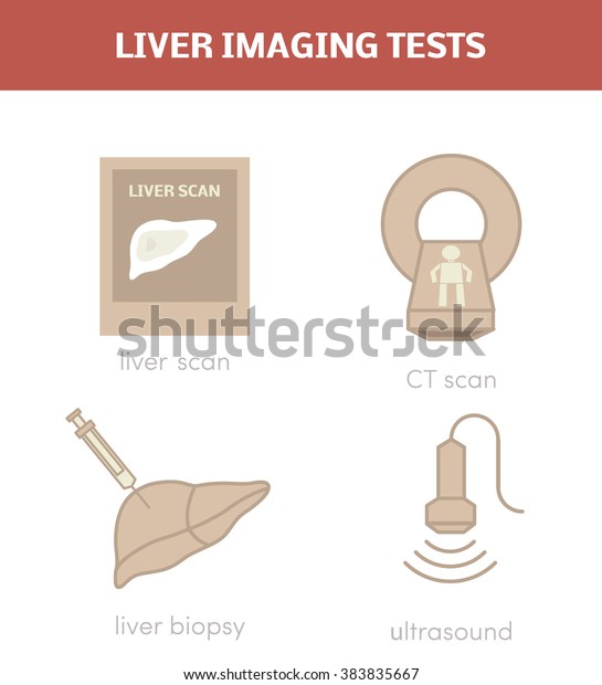 Liver Imaging Tests Diagnosis Liver Diseases: เวกเตอร์สต็อก (ปลอดค่า ...