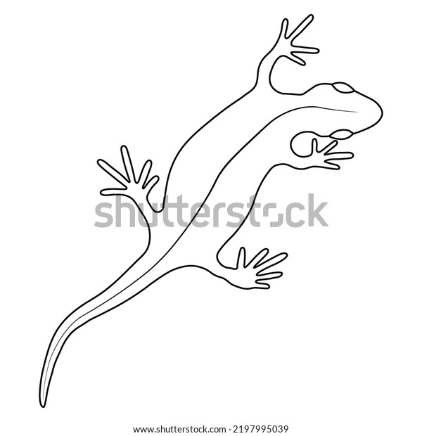 Lizard Reptile Gecko Outline Vector Illustration Stock Vector (Royalty ...