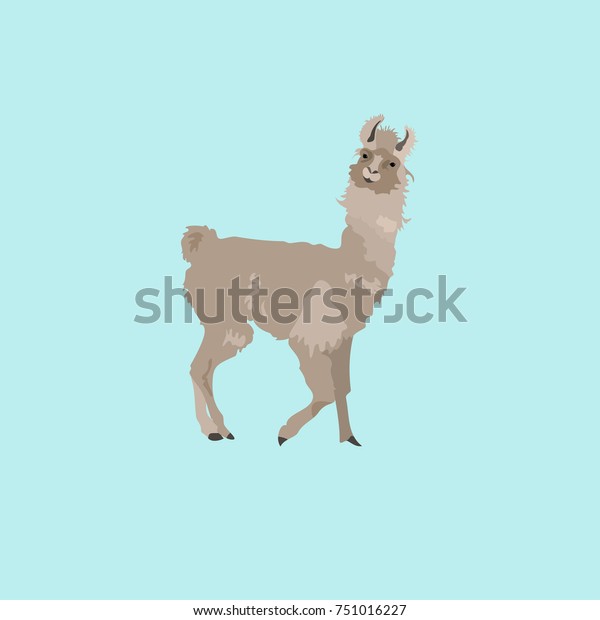 Llama Animal Vector Illustrated Portrait Llama Stock Vector (Royalty ...