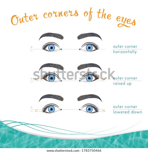 Location Outer Corners Eyes Horizontally Raised Stock Vector (Royalty ...