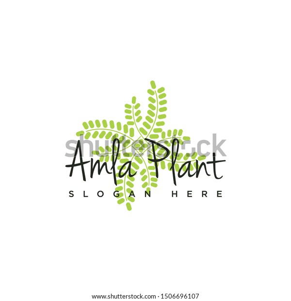 Logo Amla Plant Sweet Preview Stock Vector (Royalty Free) 1506696107 ...
